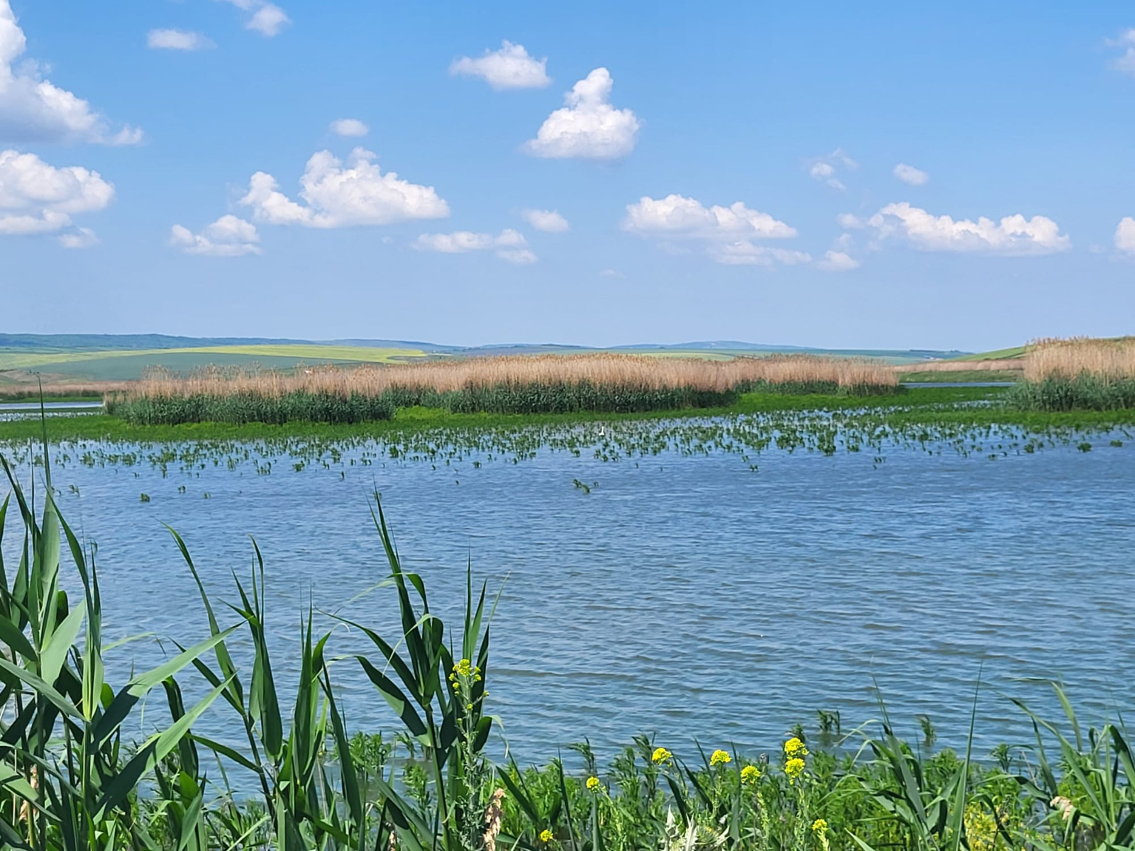 Destination Management Organization Covurlui Tourism - European Commission